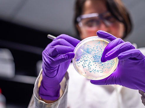 Tour à 46,3 millions d’euros pour Enterome - Genopole